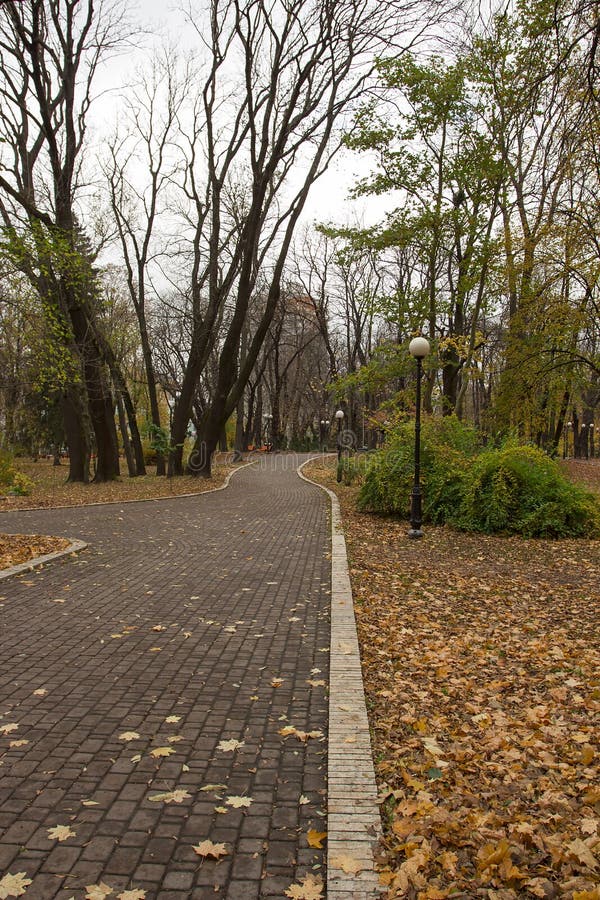 Park alley stock photo. Image of season, outdoor, road - 34999956