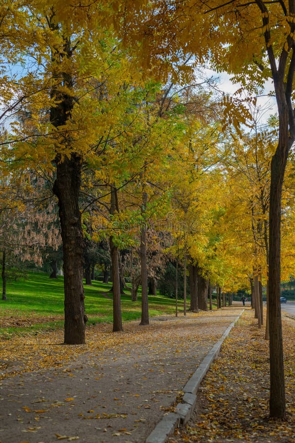 Park alley in fall stock image. Image of bench, beautiful - 148418035