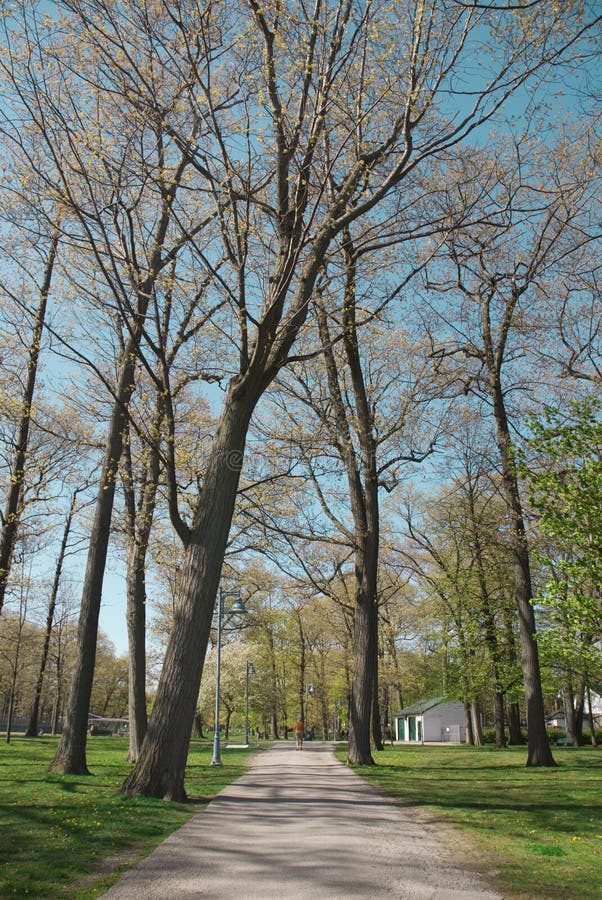 Park Alley Picture. Image: 2329468