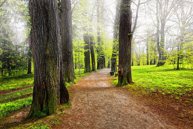 Park alley stock photo. Image of foliage, countryside - 29761360
