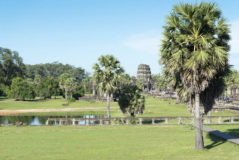 Park in Angkor Wat. stock image. Image of summer, grass - 84428529