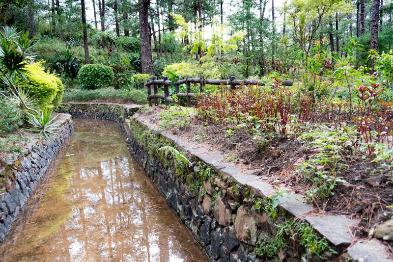 453 Baguio Landscape Photos - Free & Royalty-Free Stock Photos from ...