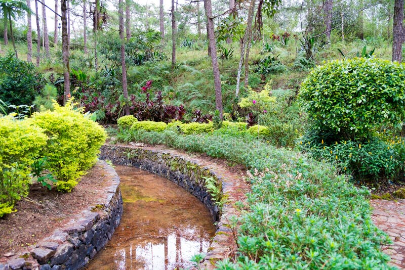 633 Baguio Landscape Stock Photos - Free & Royalty-Free Stock Photos ...