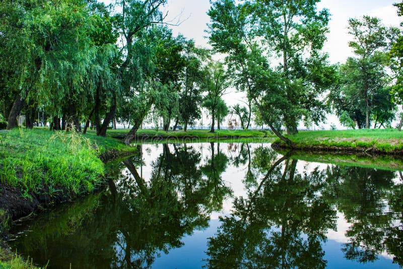 Park Area with a Beautiful Lake Stock Photo - Image of forest, park ...