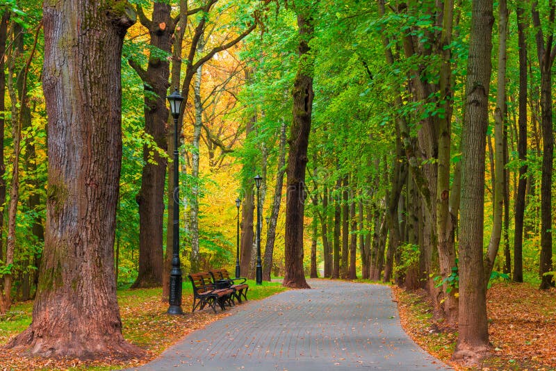 Good Road Highways - A New Face Of India Stock Photo - Image of fast ...