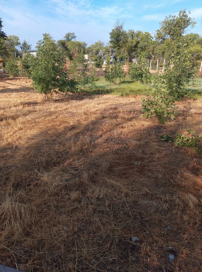 Grasswalk Stock Photos - Free & Royalty-Free Stock Photos from Dreamstime