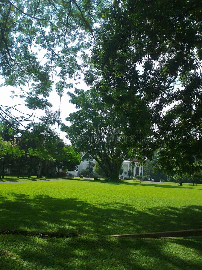 Park Around the Bogor Palace Complex, West Java Stock Photo - Image of ...