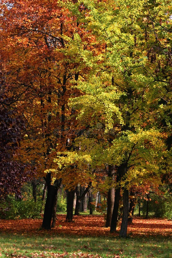 Park in autumn stock photo. Image of trail, outdoor, grass - 1682374
