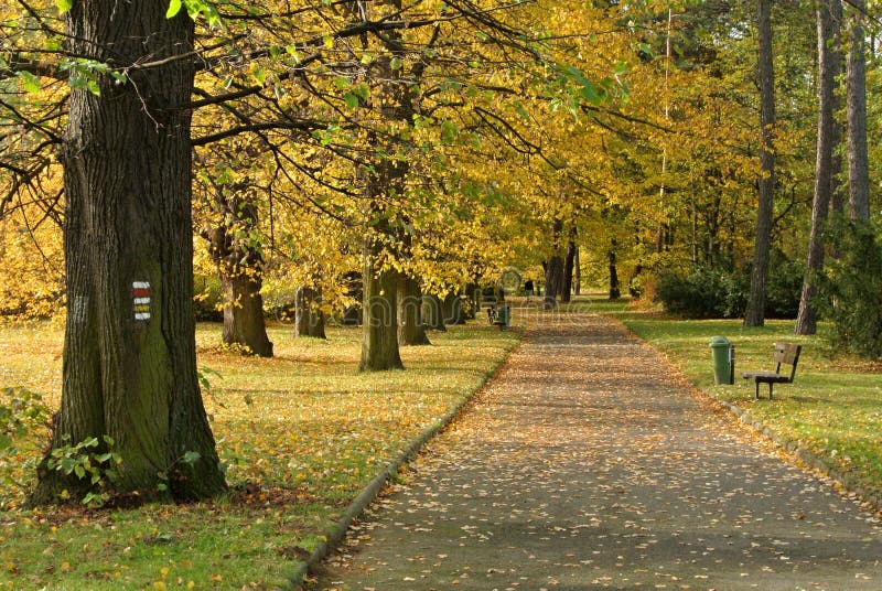 Park in autumn or fall stock photo. Image of landmark - 85778312