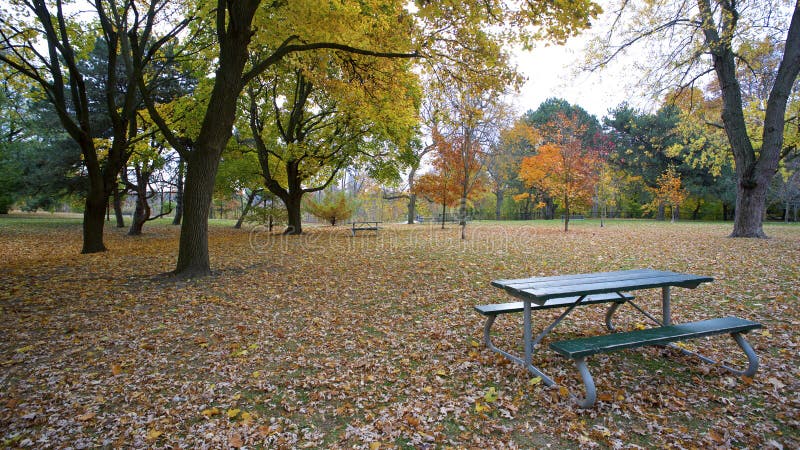 The Park with Autumn Leaf Colour. Park Picnic Table Bench Rest Relax ...