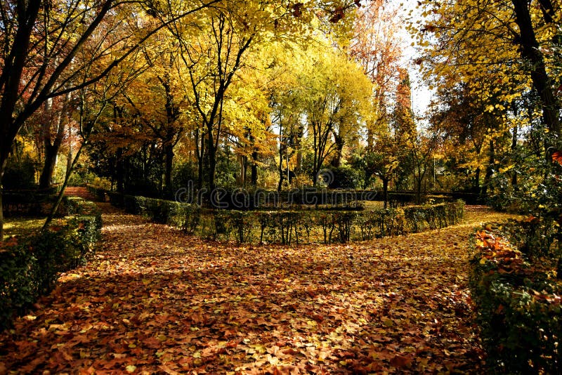 Two ways Park in autumn stock image. Image of autumn - 149426461