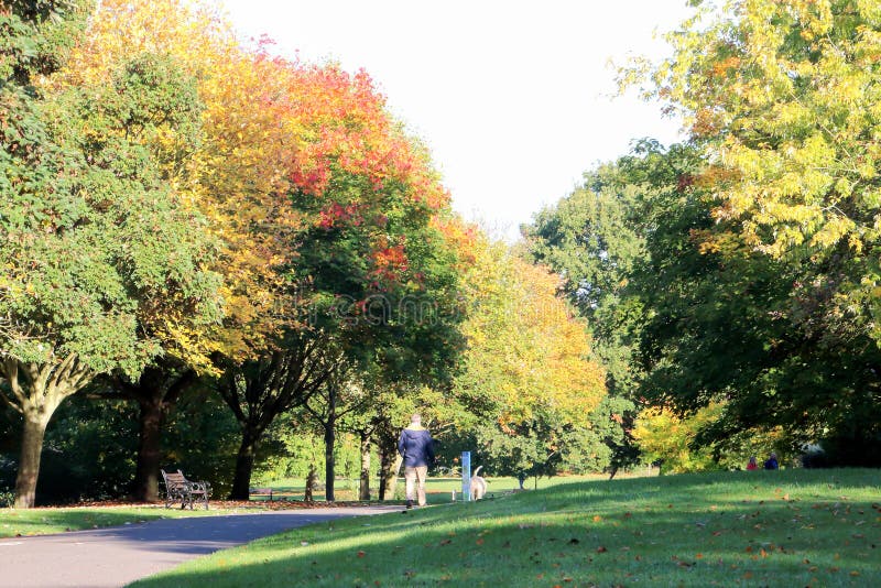 Park in Autumn with a Pathway Going through in a Rural Setting Stock ...