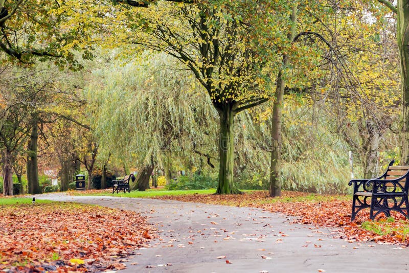 Park in Autumn with a Pathway Going through in a Rural Setting Stock ...