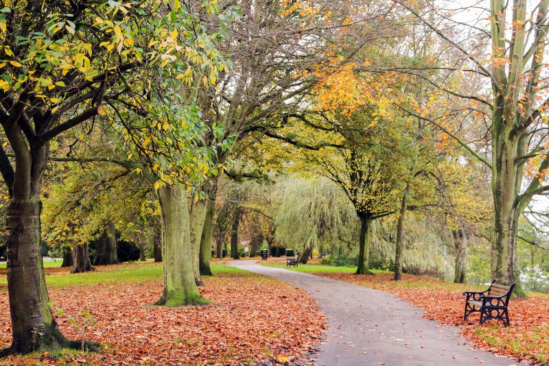 Park in Autumn with a Pathway Going through in a Rural Setting Stock ...
