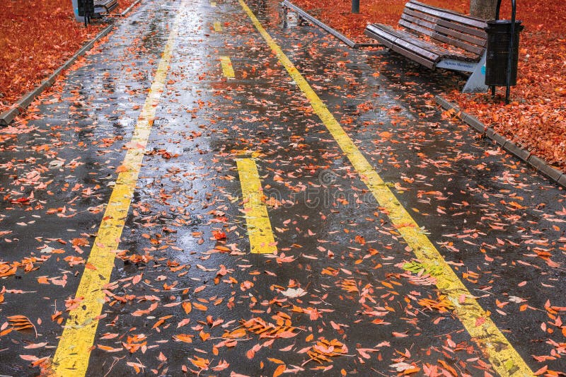 Park in Autumn Rain stock image. Image of landscapes - 61132931