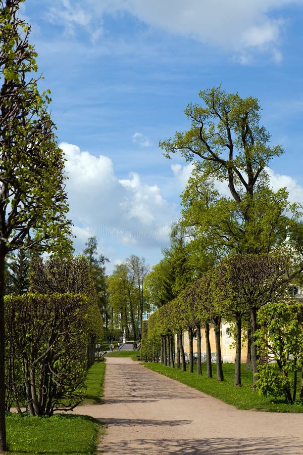 Park avenue stock photo. Image of blue, lawn, color, pavlovsk - 12365926