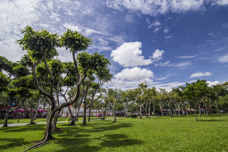 Park stock photo. Image of vast, skyscape, vibrant, silently - 34722984
