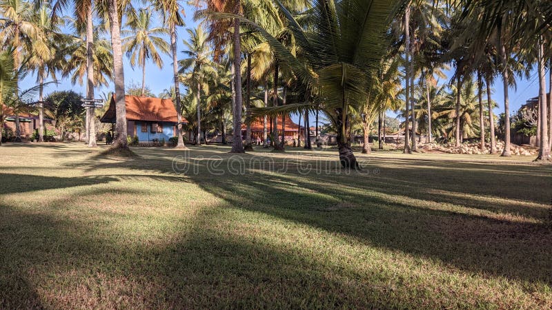 Park on the Beach in Pacitan District Stock Image - Image of beach ...