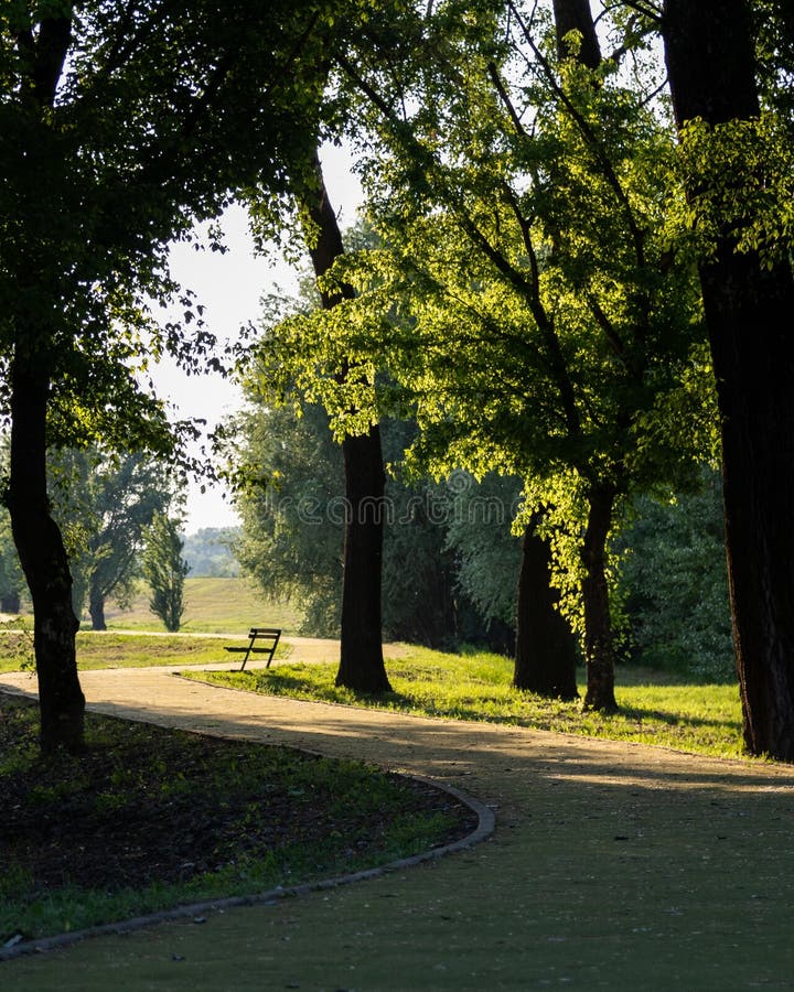 Park with Beautiful Green Trees and a Bench during Daytime Stock Photo ...