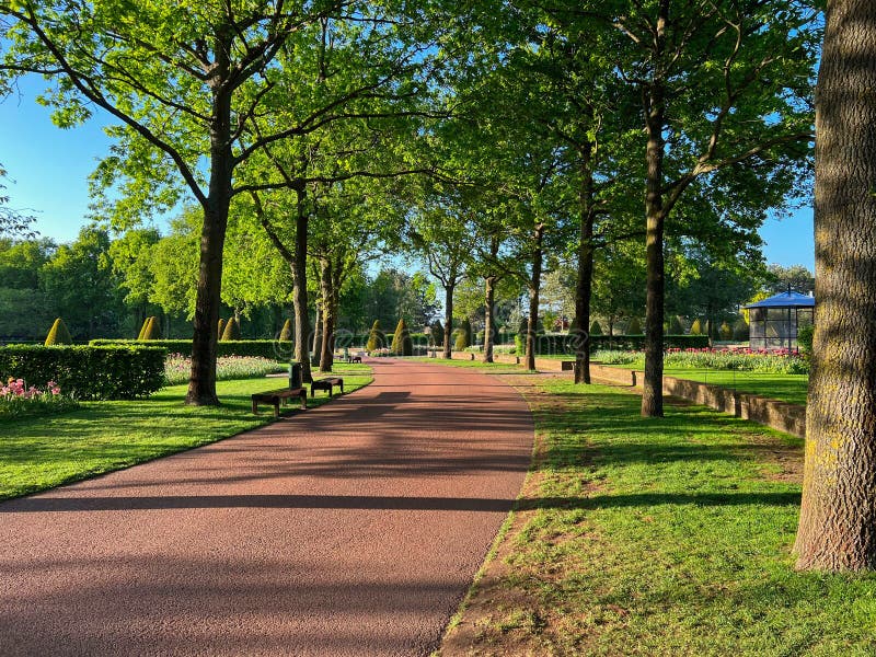 Park with Beautiful Plants, Benches and Pathway on Sunny Day. Spring ...