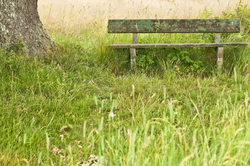 Park bench stock image. Image of bench, grass, calm, bark - 20344635