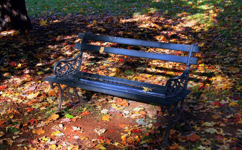 Bench Picture. Image: 1206225