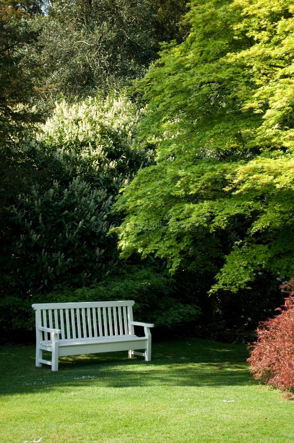 Park bench stock photo. Image of seating, woodland, picnic - 21115616