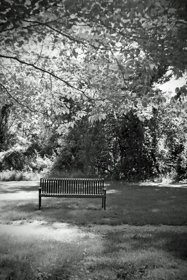 Park Bench Picture. Image: 1337760