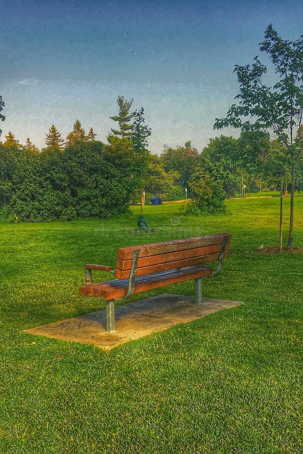 Park Bench stock photo. Image of bench, nature, park - 99431672