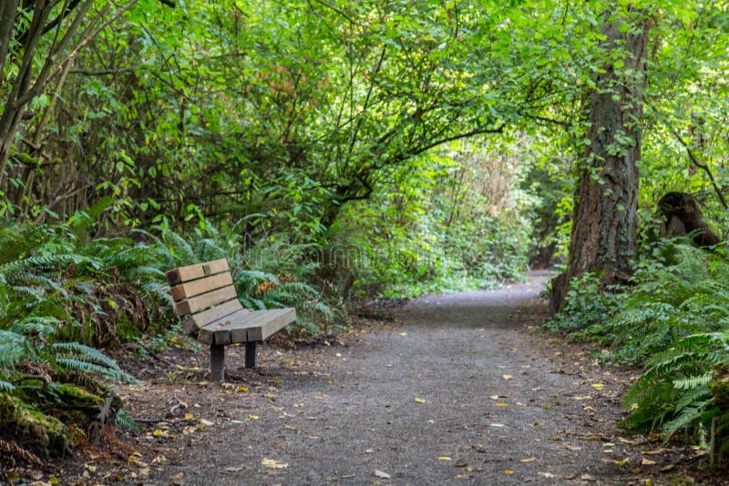 Park Bench Along a Foot Trail Stock Image - Image of scene, trees: 87238029