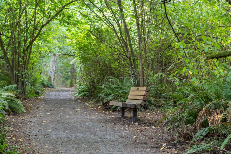 Park Bench Along a Foot Trail Stock Photo - Image of nature, leaf: 87238032