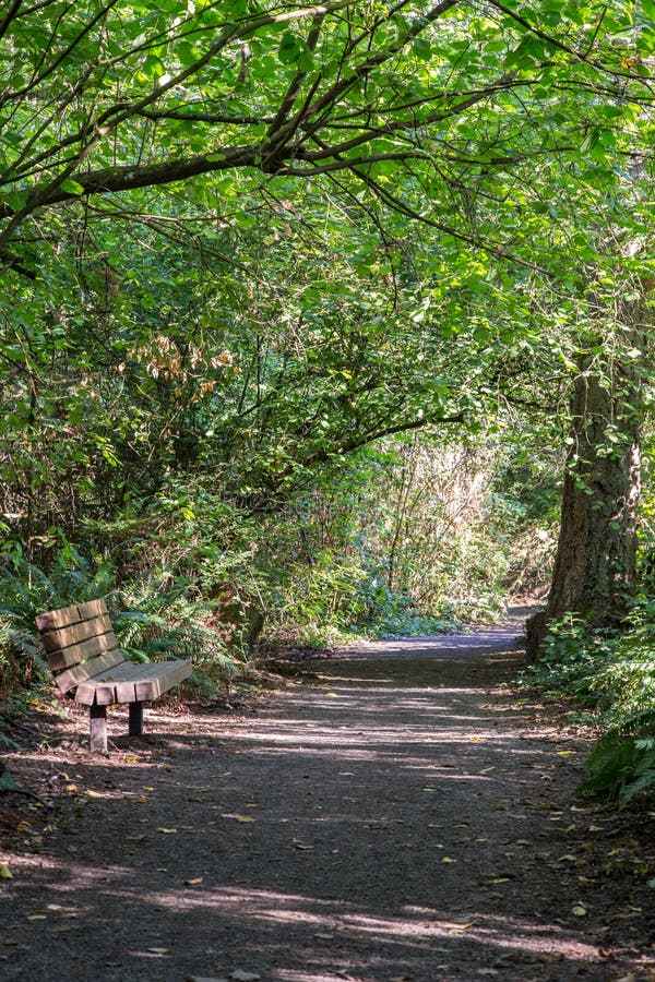 Park Bench Along a Foot Trail Stock Image - Image of walk, green: 87238719
