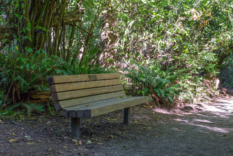 Park Bench Along a Foot Trail Stock Image - Image of nature, path: 87239577