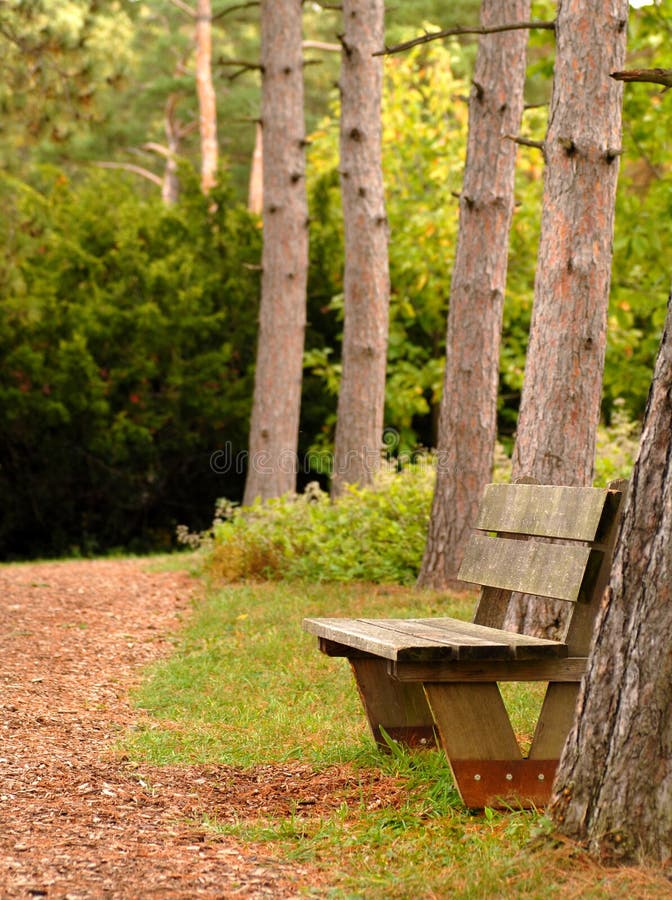 Park bench along a path stock image. Image of brown, autumn - 3636699