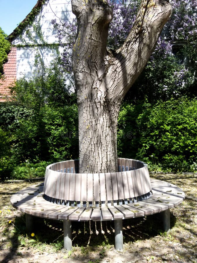 Park bench around a tree stock photo. Image of village - 180888312