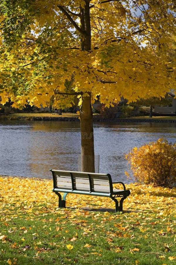 Park bench in autumn stock photo. Image of leaf, quiet - 17945184