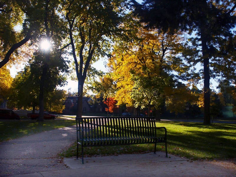Bench in autumn forest stock photo. Image of beauty, background - 32916578