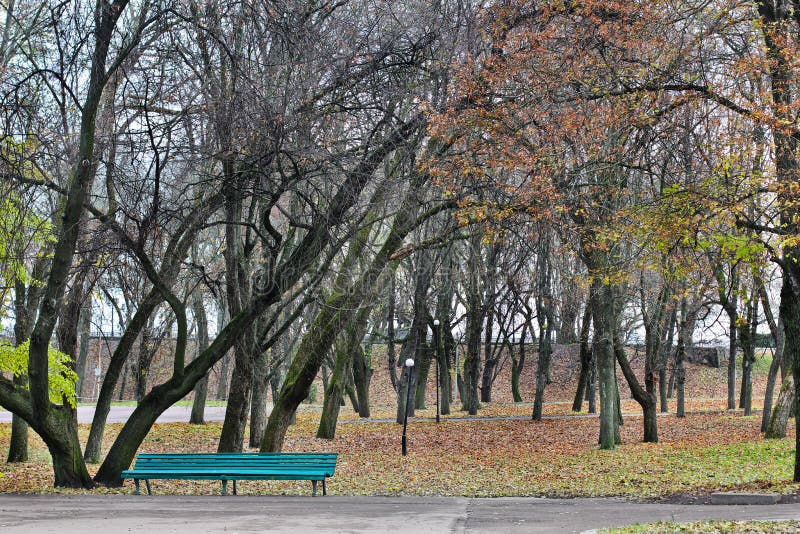 A Park. Bench in the Park. Beautiful Autumn. Spring. Parkland Stock ...