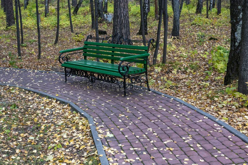 Park bench in the fall stock photo. Image of wooden - 198348078