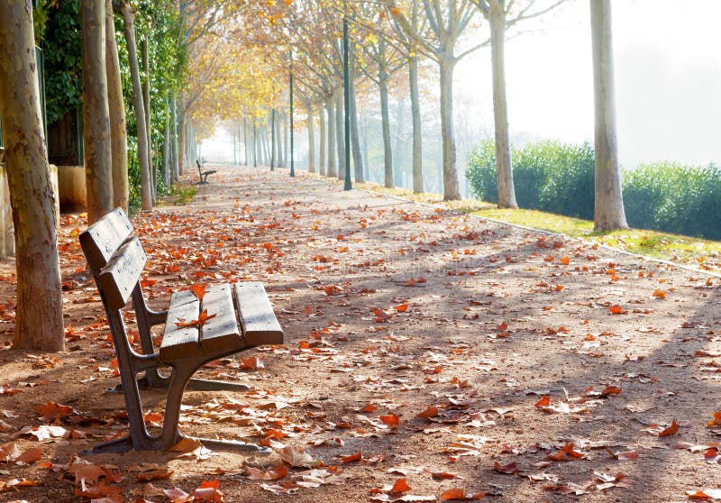 Park bench stock photo. Image of season, colorful, autumn - 36766342