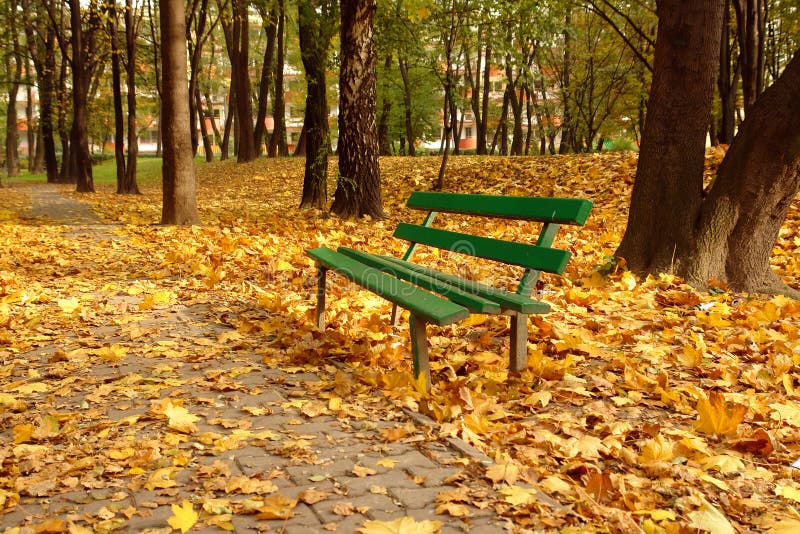 Park bench in fall park stock photo. Image of dead, colorful - 6864358