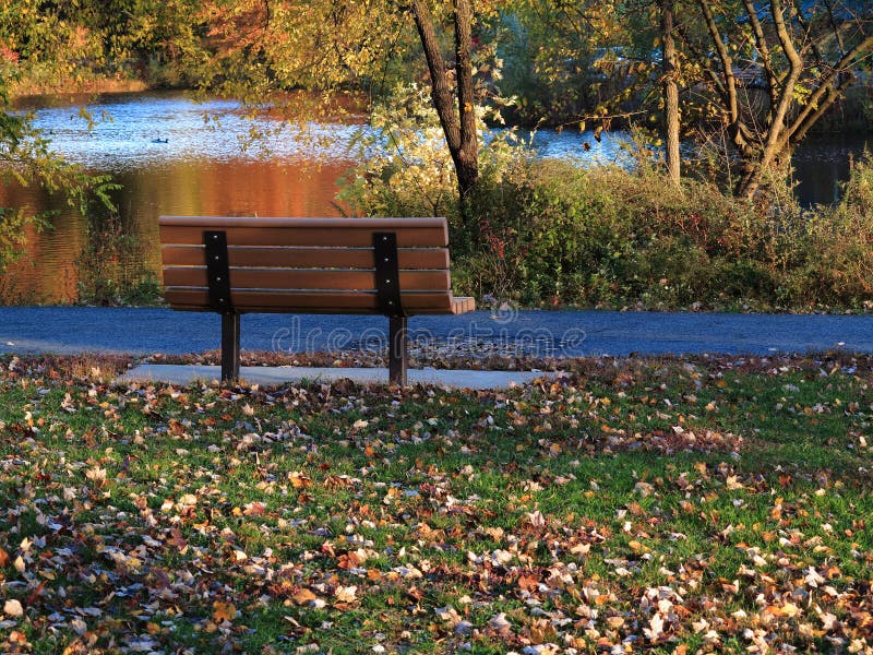Park Bench in Fall stock image. Image of life, seat - 145162801