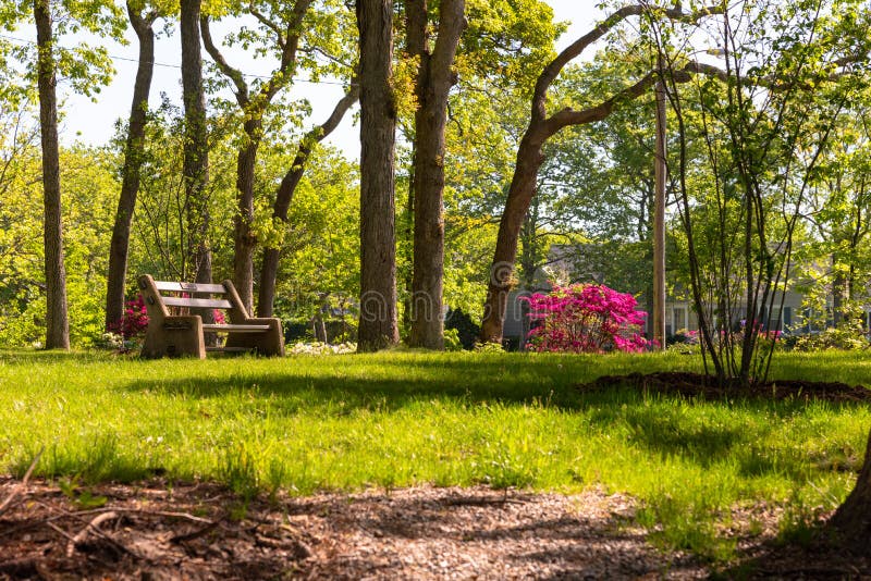 A Park Bench in Spring Lake Stock Photo - Image of trees, tranquil ...