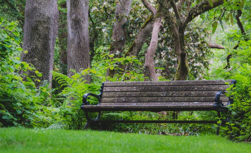 Park bench stock image. Image of green, trees, bench - 42656743