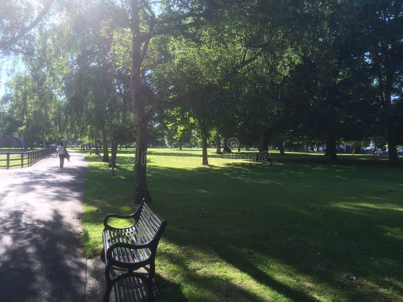 Park bench stock image. Image of grass, green, panoramic - 43119471
