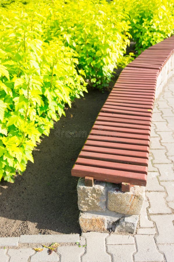 Park bench stock image. Image of bright, bench, leaves - 41458853