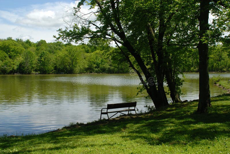 Park bench at the lake. stock photo. Image of summer, lake - 5097400