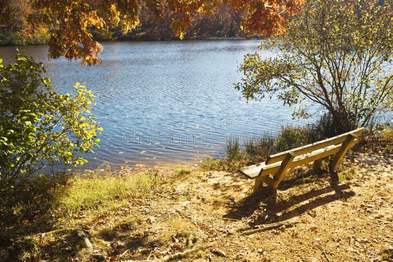 Park bench by a lake stock image. Image of wood, park - 7012071