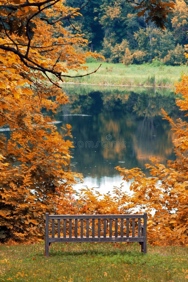 Park Bench by Lake in Autumn Stock Photo - Image of country, forest ...