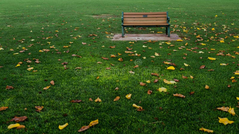 Park Bench stock photo. Image of woodland, recreational - 204851584